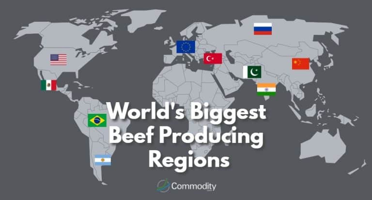 What You Should Know About Feeder Cattle As Commodity – A Detailed ...